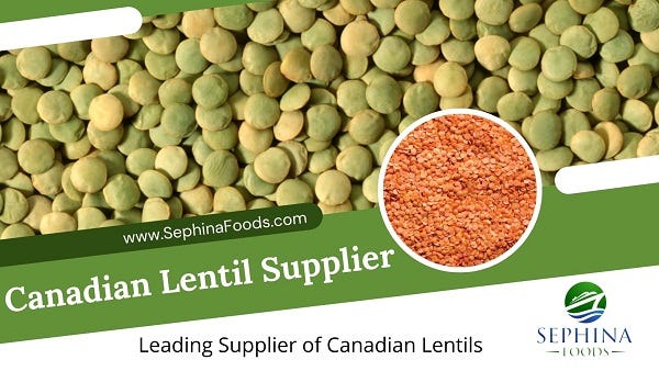Discover the Best Canadian Lentil and Chickpea Suppliers for Sephina ...