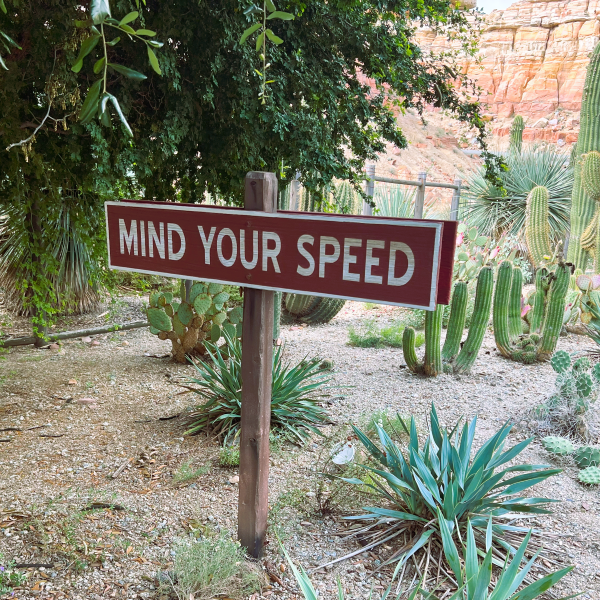3 Motivational Quotes to Encourage the Intentional Pause Practices at ...