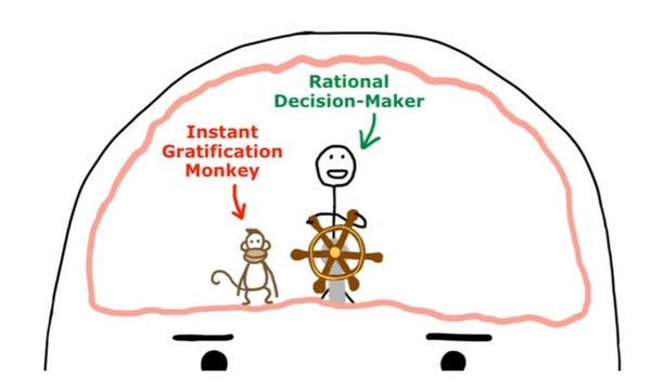 Why Tim Urban’s TED Talk is Deadly Wrong About Procrastination | by ...