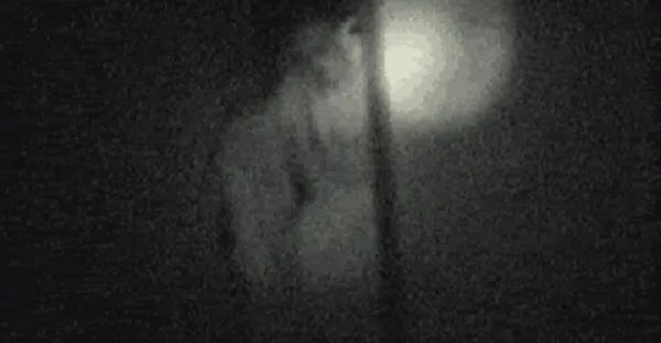 Famous Barton Mansion Ghost Encounter | by Terry Larch | freaklore ...