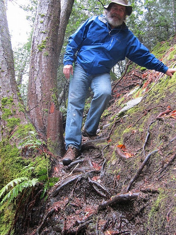 The Earthly Transcendence of Elysium | by A man leading a simple life ...