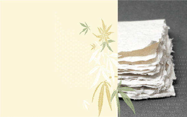Combat Deforestation use Hemp Papers | by Planet Green Online | Medium