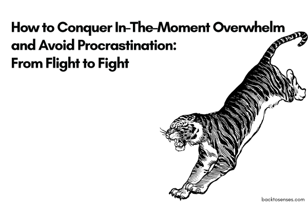 How to conquer in-the-moment Overwhelm and Avoid Procrastination: from ...