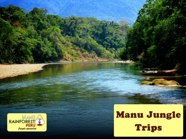 Manu Jungle Trips | Manu National Park Tour | Manu Rainforest Peru ...