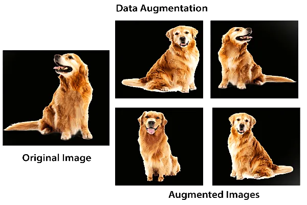 How Data Augmentation Can Drastically Improve Your Object Detection Models By Md Ishtiuk