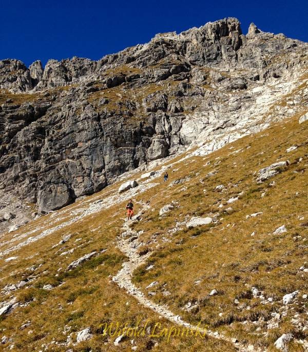 Many ways lead toward the goal. If one does not, try another. | by ...