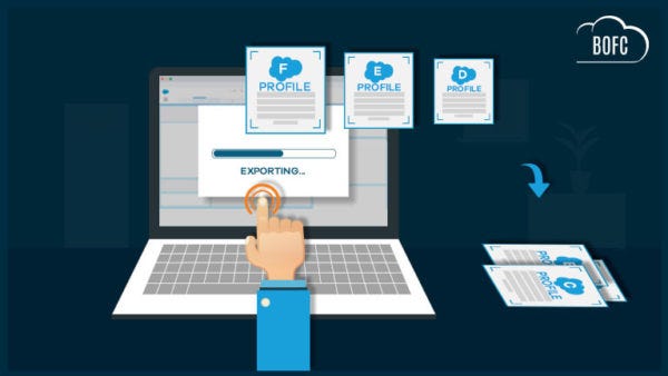 How to Export Multiple Profiles of Salesforce in few clicks? - Bulk Object Field Creator - Medium
