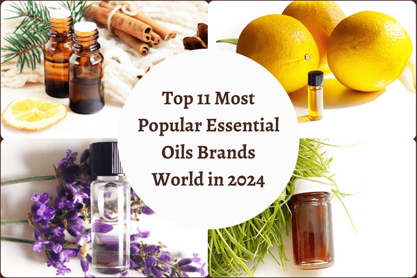 Top 11 Most Popular Essential Oils Brands in the World in 2024 | by ...