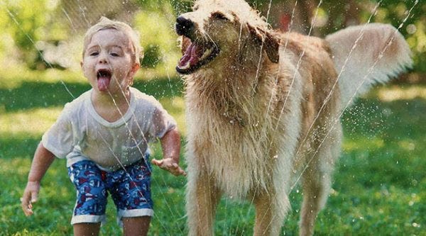 Carpe Diem. Carpe Diem, aproveitar o dia, viver… | by Mariane Sobral | Medium
