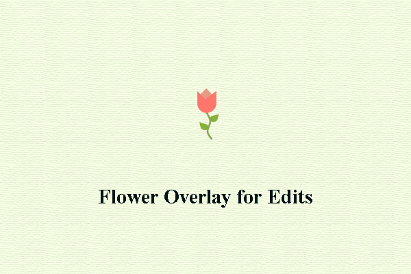 Flower Overlay for Edits: How to Add It to a Video? - Jocelin Li - Medium