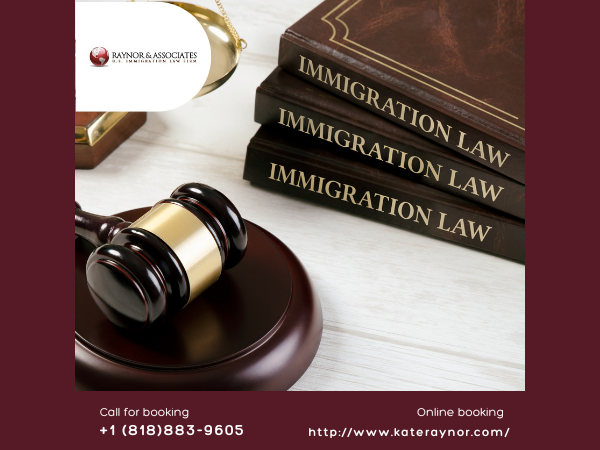 Compassionate Legal Support for Families Through Immigration Law ...