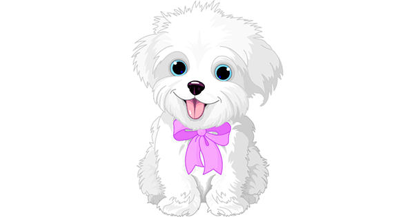 Maltese Dog is Shiba Inu Killer Token. | by Maltese Dog | Medium