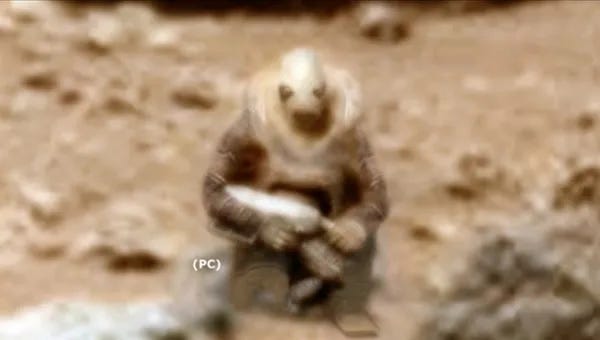 Alien Stone Solider Statue Spotted On Mars | by Terry Larch | freaklore ...