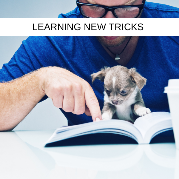Old dogs, learning new tricks, teaching young pups, old tricks | by ...