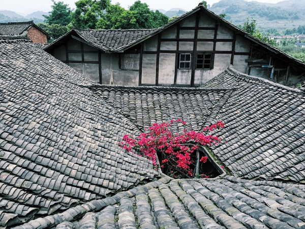 6 Jaw-Dropping Airbnb Homes to Experience the Historic China | by ...
