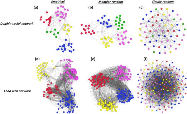 From Chaos to Connection: How Random Graphs Reveal the Hidden Order of ...