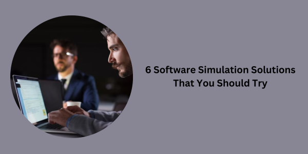 6 Software Simulation Solutions That You Should Try | by Romanpetra ...