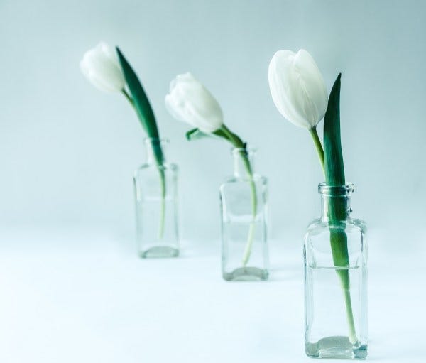 6 Amazing Multipurpose items you Already have | by Kiira Smith | Medium