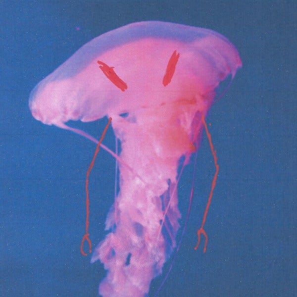 Jelly Pasta. Jellyfish arrived, dressed as pasta. | by Peter Edwards ...