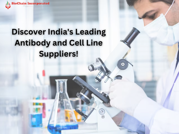 Leading Antibody & Cell Line Suppliers in India|Biochain Inc: | by BiochainInc | Medium