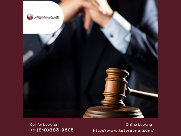 Compassionate and Expert Guidance: Navigating Immigration Law with ...