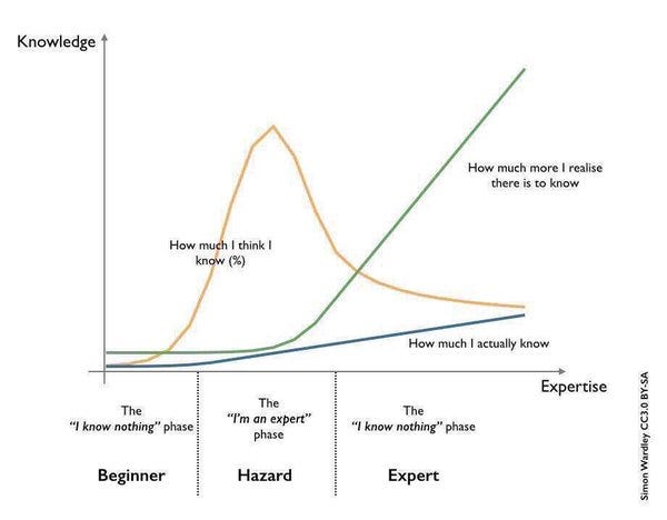 What Expert Means | by Alexander Kurguzkin | Medium