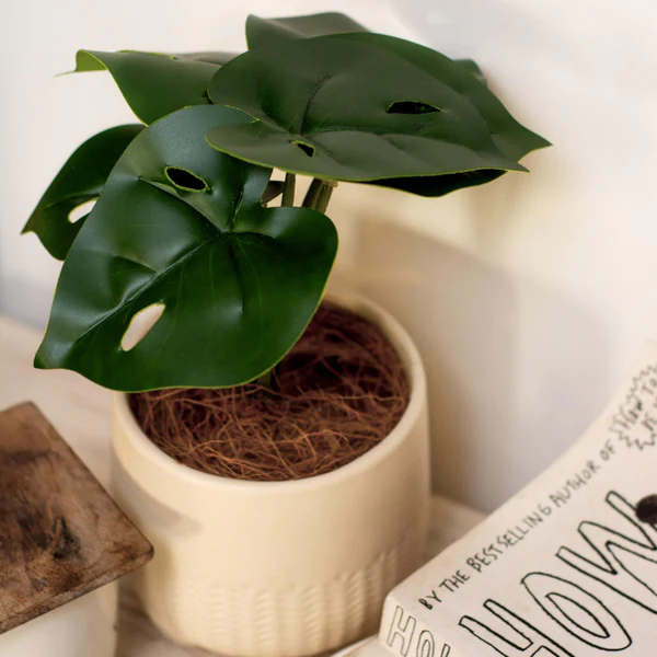 Elevate Home Decor with Artificial Plants Online Featuring the Stylish ...