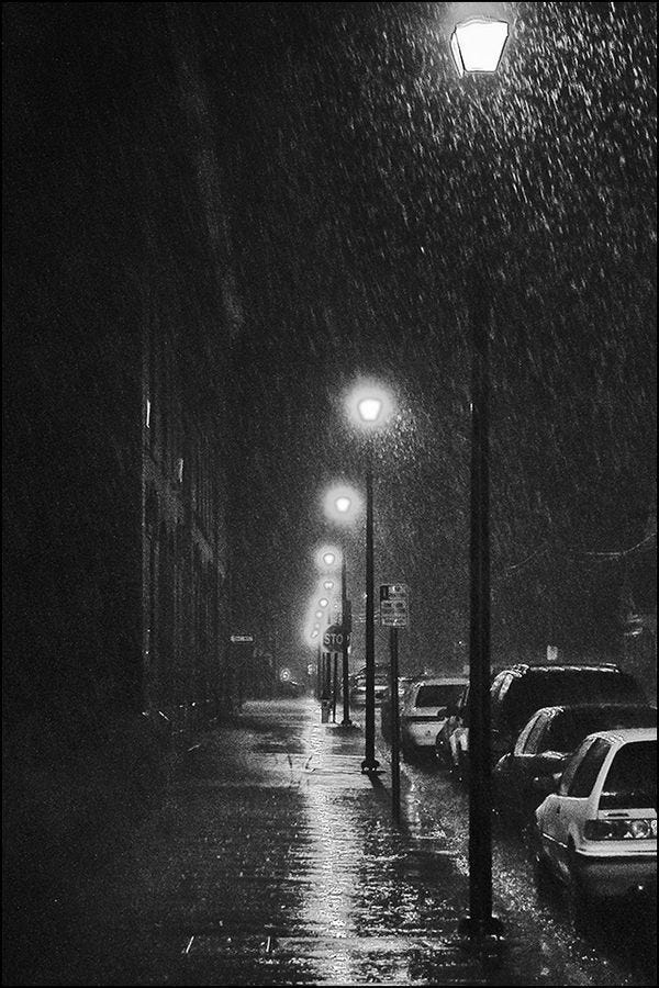 Lonely Wings of Rain. In solitude, the raindrops fall, A… | by The Owl ...