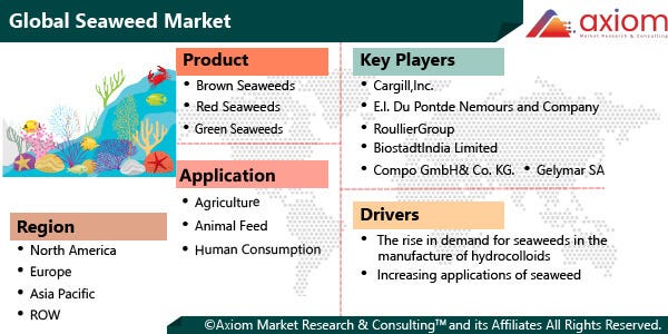 Seaweed Market: Amazon is funding the world’s first commercial-scale ...
