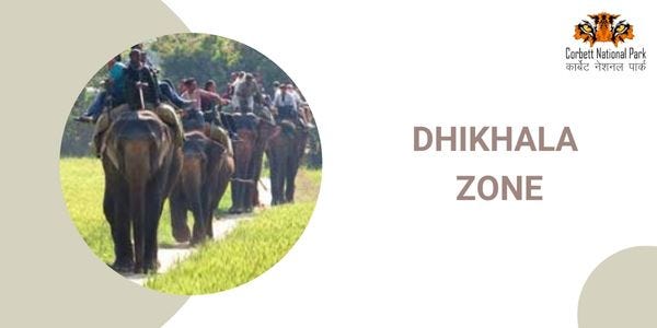 4 Prominent Reasons for You to Visit Dhikala Zone - Corbett National ...