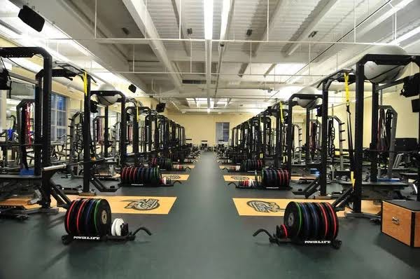 Why people go to the gym | by abdur rauf | Medium