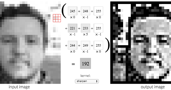 Matrices : An Eye To The Digital World | by Shirsh Jain | Medium