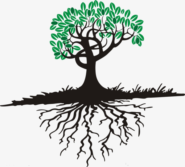 Foot Roots. Life can stray you away from your roots | by Taylor Young ...