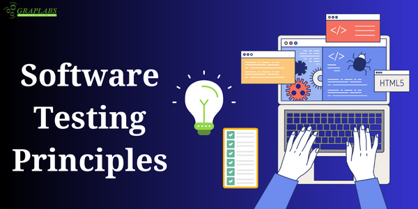 The Principles of Software Testing | by GrapLabs - Discover Your Best ...