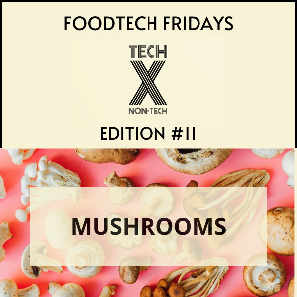 FoodTech Fridays — Edition#11. Fermentation to make NextGen Food from ...