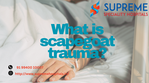 Recognizing Trauma from Scapegoats | by Anteater | Nov, 2023 | Medium