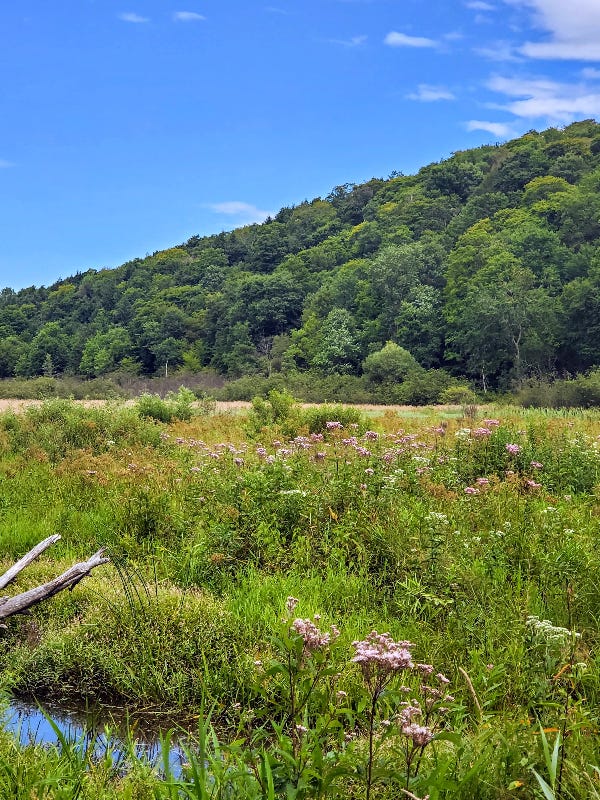 Keeping the Natural in Nature is how Nature is Preserved. | by Heaven's ...