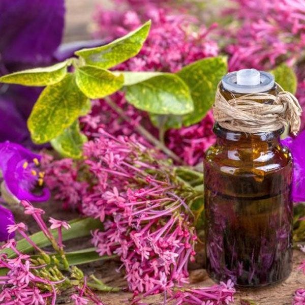 The Benefits of Buying Essential Oils in Bulk | by Meena Perfumery | Medium