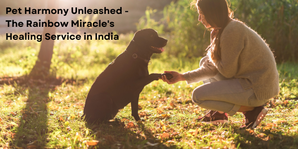 Pet Harmony Unleashed- The Rainbow Miracle’s Healing Service in India ...
