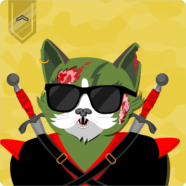 Adventures in NFT Land: The Mad Cat Militia Foot Soldier Backstory ...