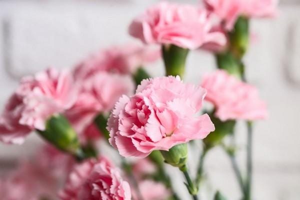 Everything You Need To Know About June 11 Birthday Personality | by ...