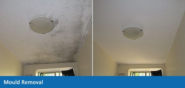 Mould Removal Sydney. We all understand that family scrap… | by Butler ...