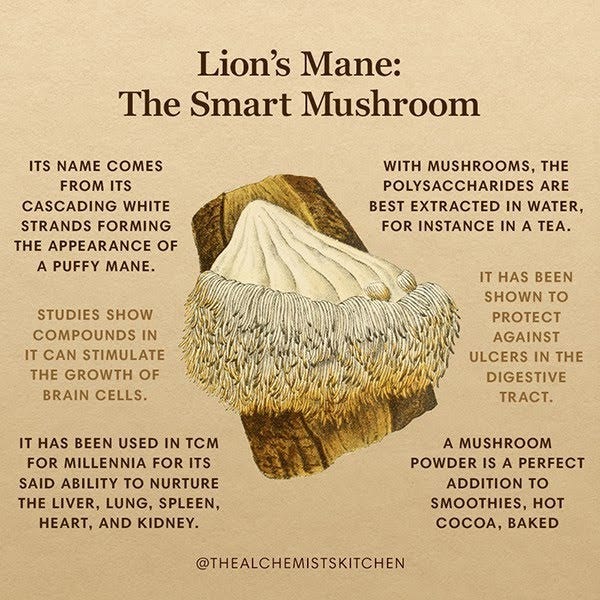 Health benefits of lions mane. Lion’s mane mushroom is a type of… | by ...