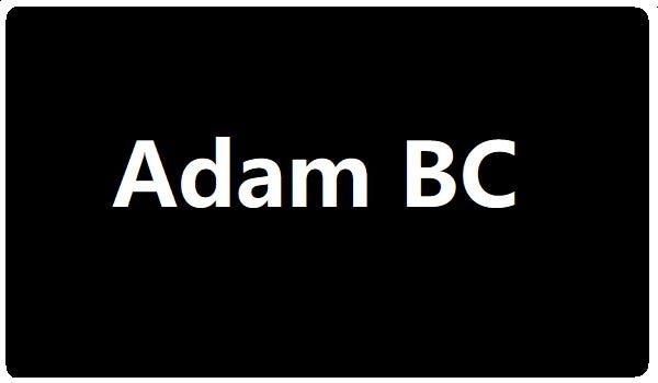 Understanding The Adam Blockchain Computer (Adam BC) - Adam BC - Medium