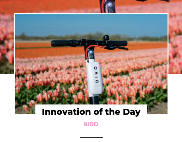 Innovation of the Day: Bird. Bird pushes what it means to be… | by ...