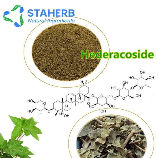 IVY Extract. IVY extract, often derived from the… | by Staherb | Medium