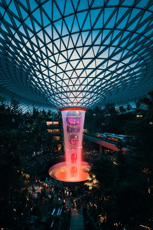 YBC in Singapore - Young Birds Club - Medium