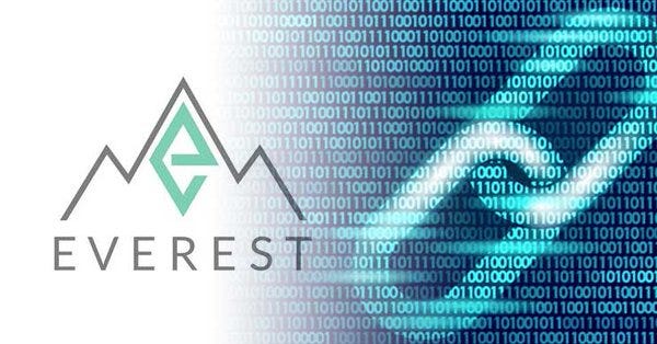 Everest: Solving the Challenges of Digital Identity | by EDESIRI AMORI ...