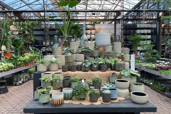 Creating a Green Garden Design - Gardencenteradvice - Medium