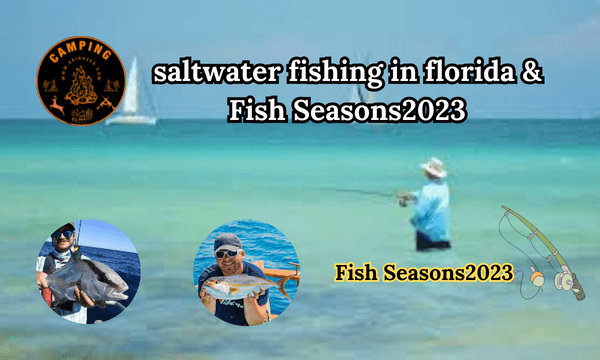 Saltwater fishing in florida & Fish Seasons2023 | by LoaiALSHREEF | Jun ...